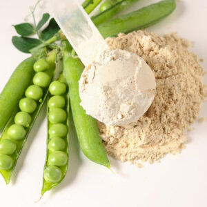 Faba Bean Protein: A High Protein Sourced Ingredient