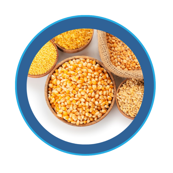 Native Starches - Redefine Texture and Stability
